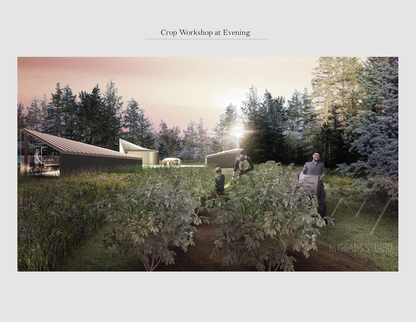 Quadra Island Community Center Landscape Architecture Design – MYRIADS ...